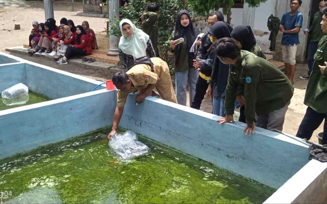 Turunkan PTK, Mahasiswa Unmuh Jember Beri Benih Ikan kepada Warga ...