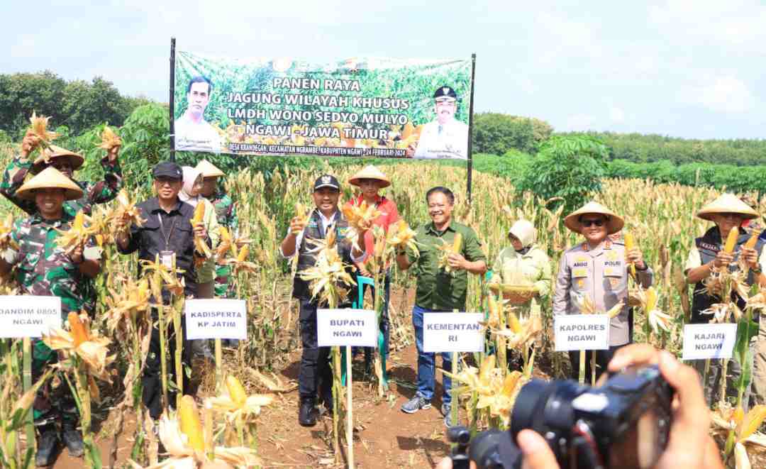 Forkopimda Ngawi Panen Raya Jagung - Media Berita Bangsa