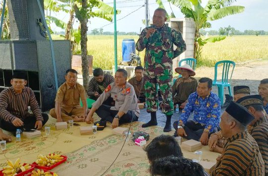 Gelar Methil, Istilah Sambut Panen Raya Desa Kanung Madiun - Media ...